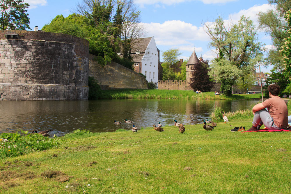 De zeven bouwstenen voor een gezonde stad | Biind